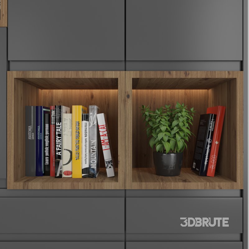 Bookcase Image 2