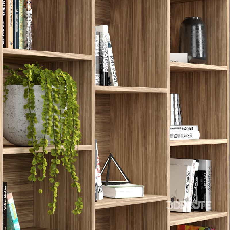 Bookcase 3D model 3dbrute