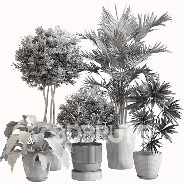 Indoor Plant Set 0153 Image 5