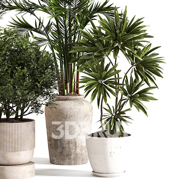 Indoor Plant Set 0153 Image 2