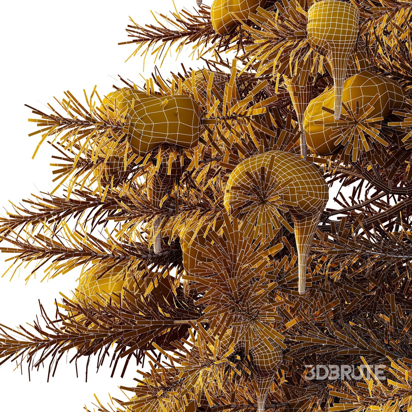 Blue Spruce Winter Tree 01 Image 3