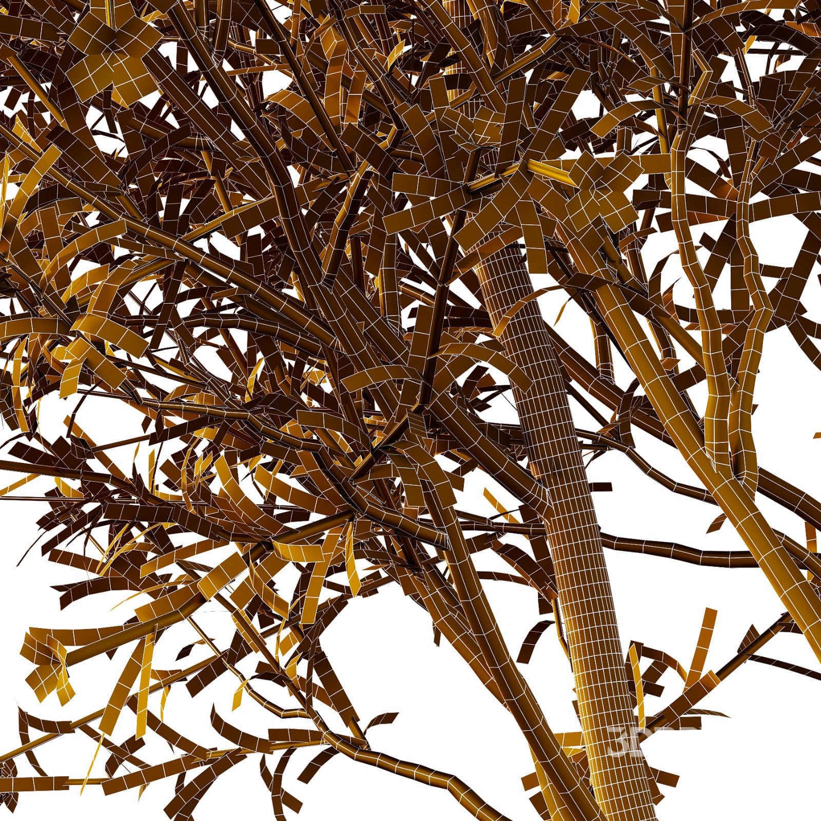 nerium oleander pink tree 01 Image 6